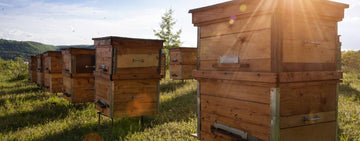 Apilarnil - elixir natural pentru sănătatea omului - apiland.ro ...