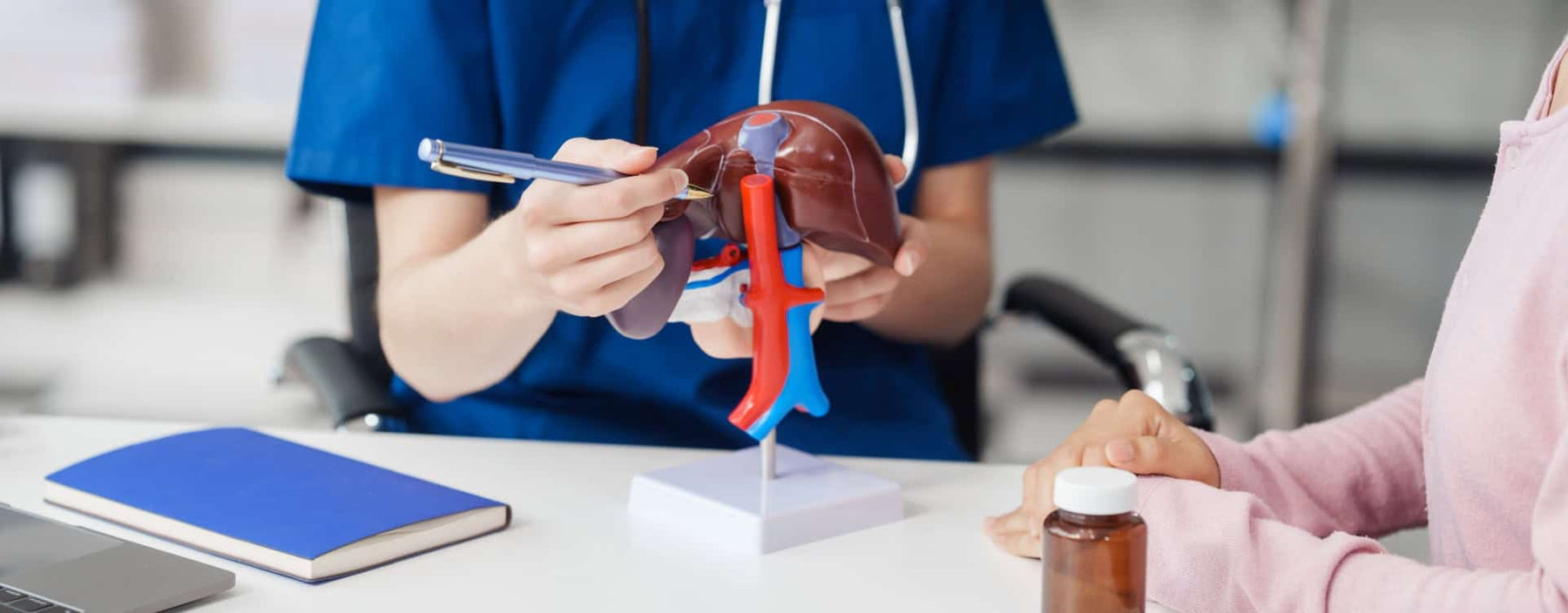 Steatoza hepatică - soluții pentru prevenirea ficatului gras - apiland ...